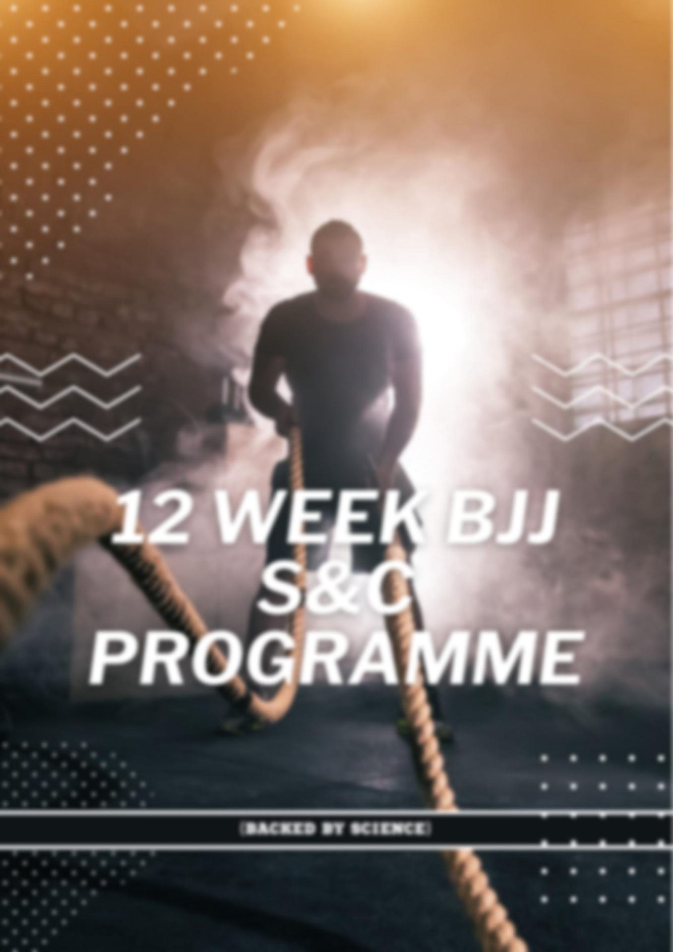 JitsBits - BJJ Strength & Conditioning
